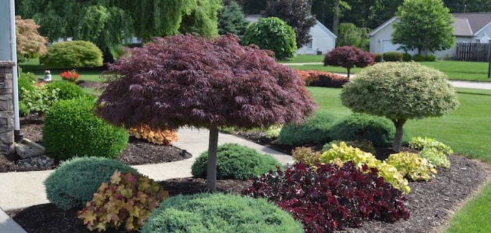 Landing Page3 - Garden Green Landscape & Design